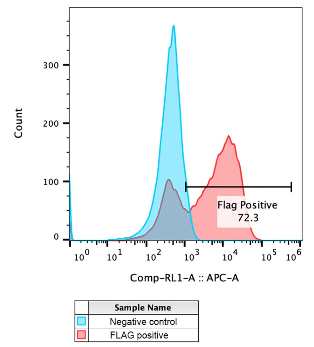 DYKDDDDK Tag Mouse Monoclonal Antibody(Binds to same epitope as Anti ...